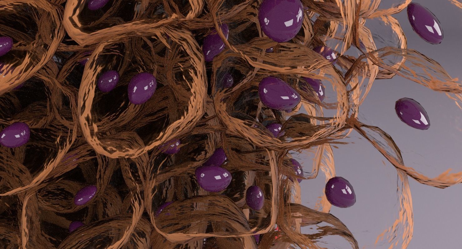 Skin epithelium squamous stratified 3D model | CGTrader