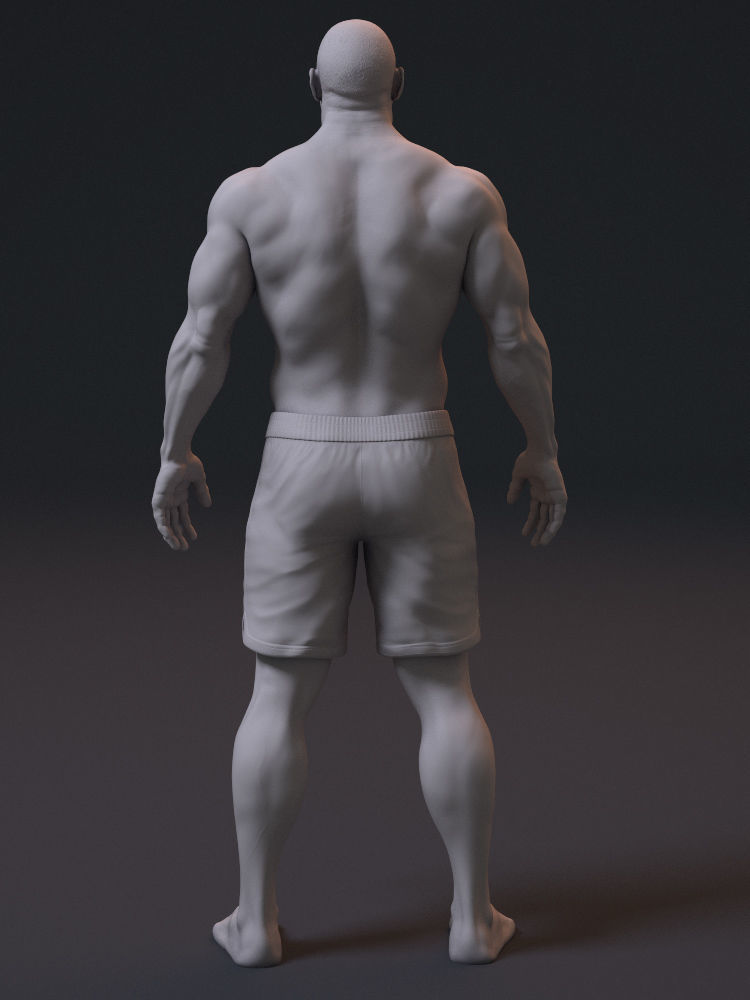 MMA Fighter and bodybuilder 3D model | CGTrader