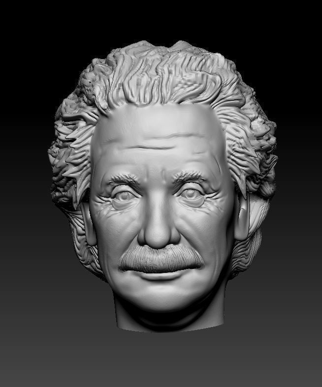 Male head 12 Albert Einstein 3D model 3D printable | CGTrader