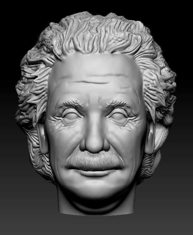 Male head 12 Albert Einstein 3D model 3D printable | CGTrader