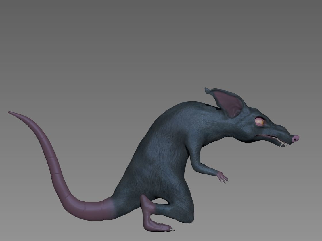 Rat model free 3D model | CGTrader