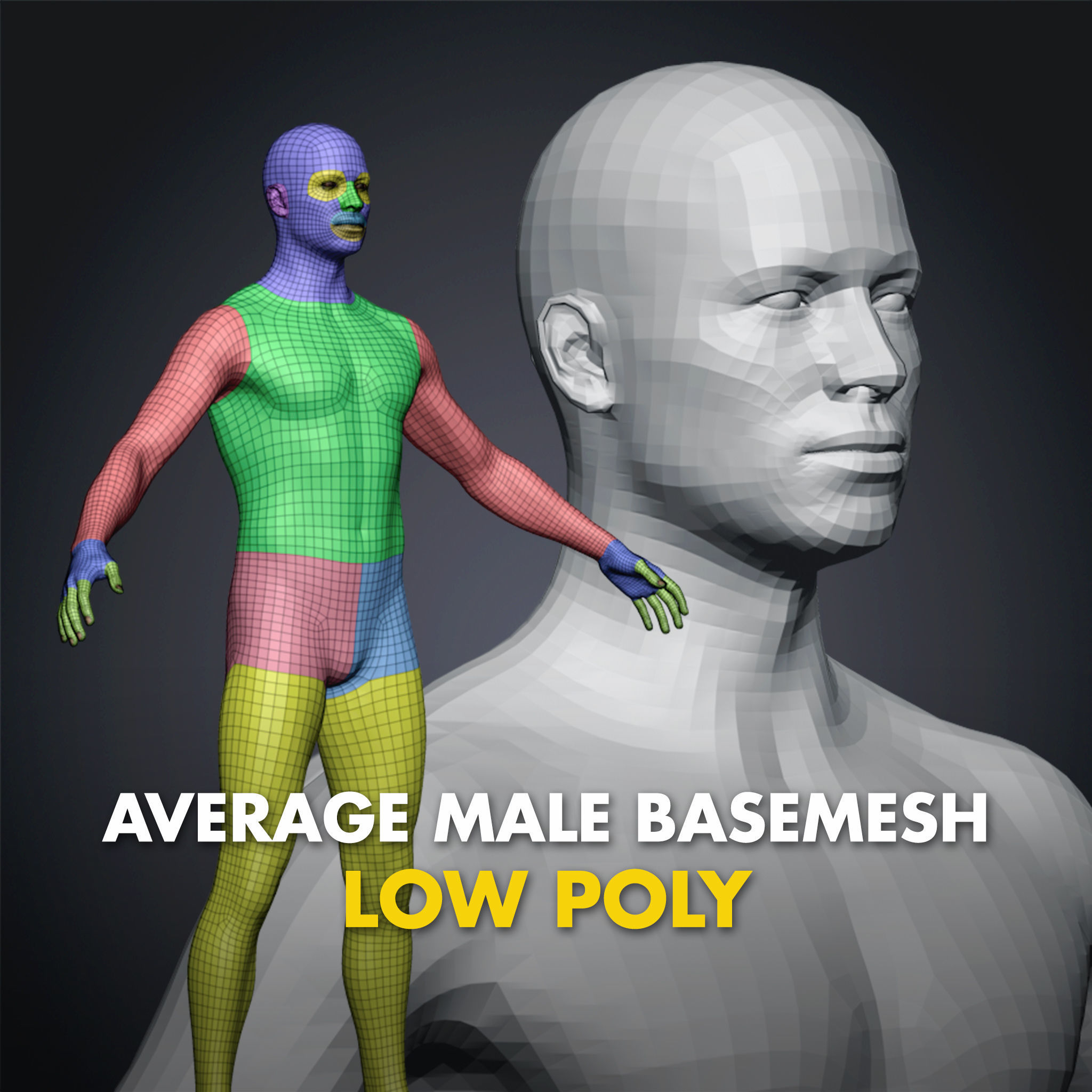 Average Male Body Low Poly Basemesh 3D model | CGTrader