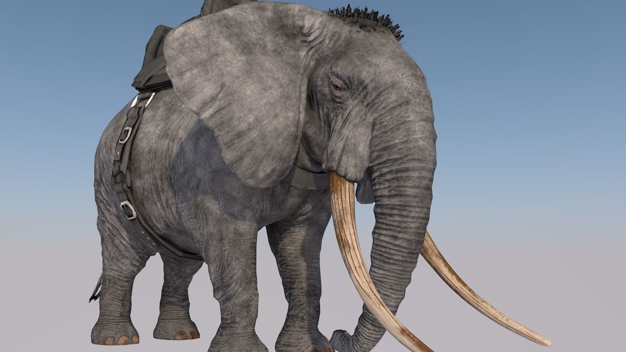 animated Elephant Unity Game AR VR Model Low Poly Design