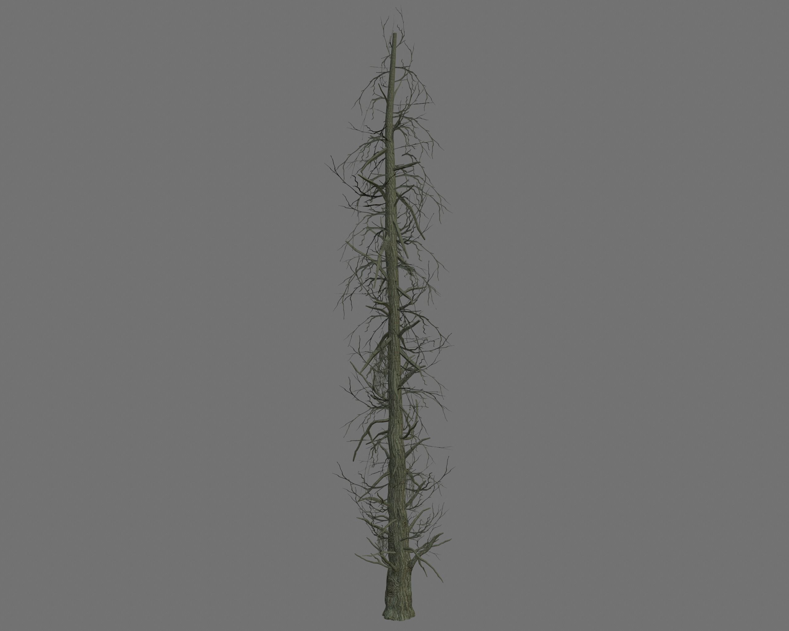 3D model Nature Assets - Swamp Trees VR / AR / low-poly | CGTrader