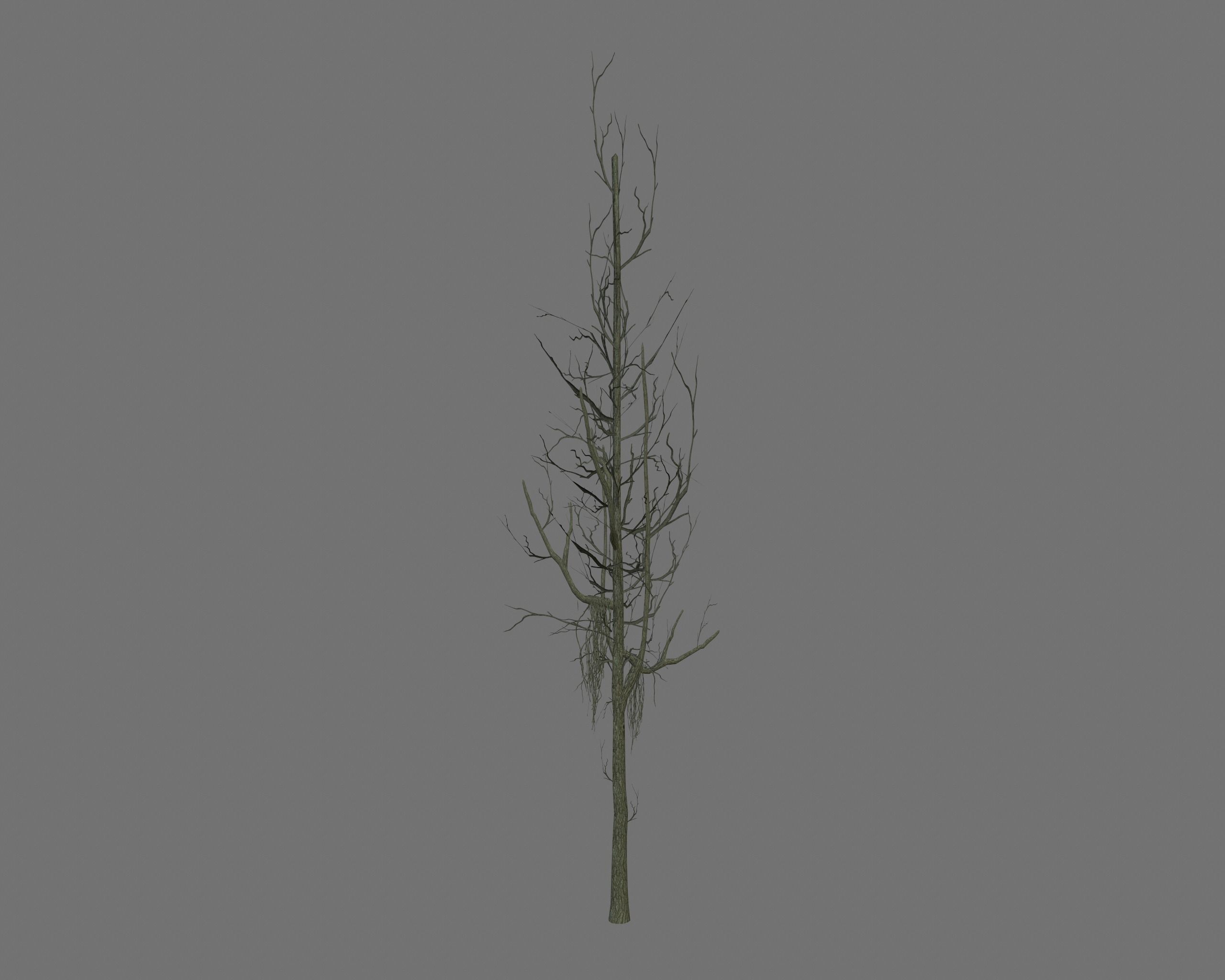 3D model Nature Assets - Swamp Trees VR / AR / low-poly | CGTrader