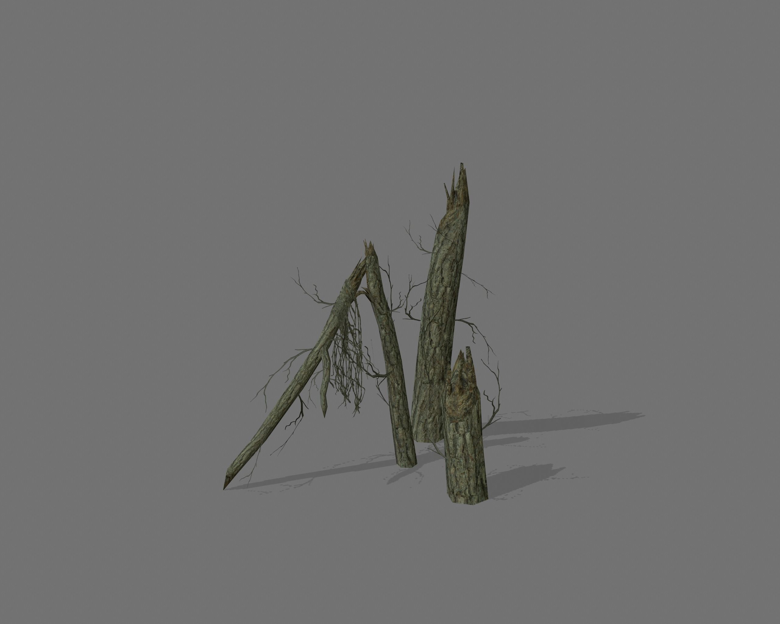 3D model Nature Assets - Swamp Trees VR / AR / low-poly | CGTrader