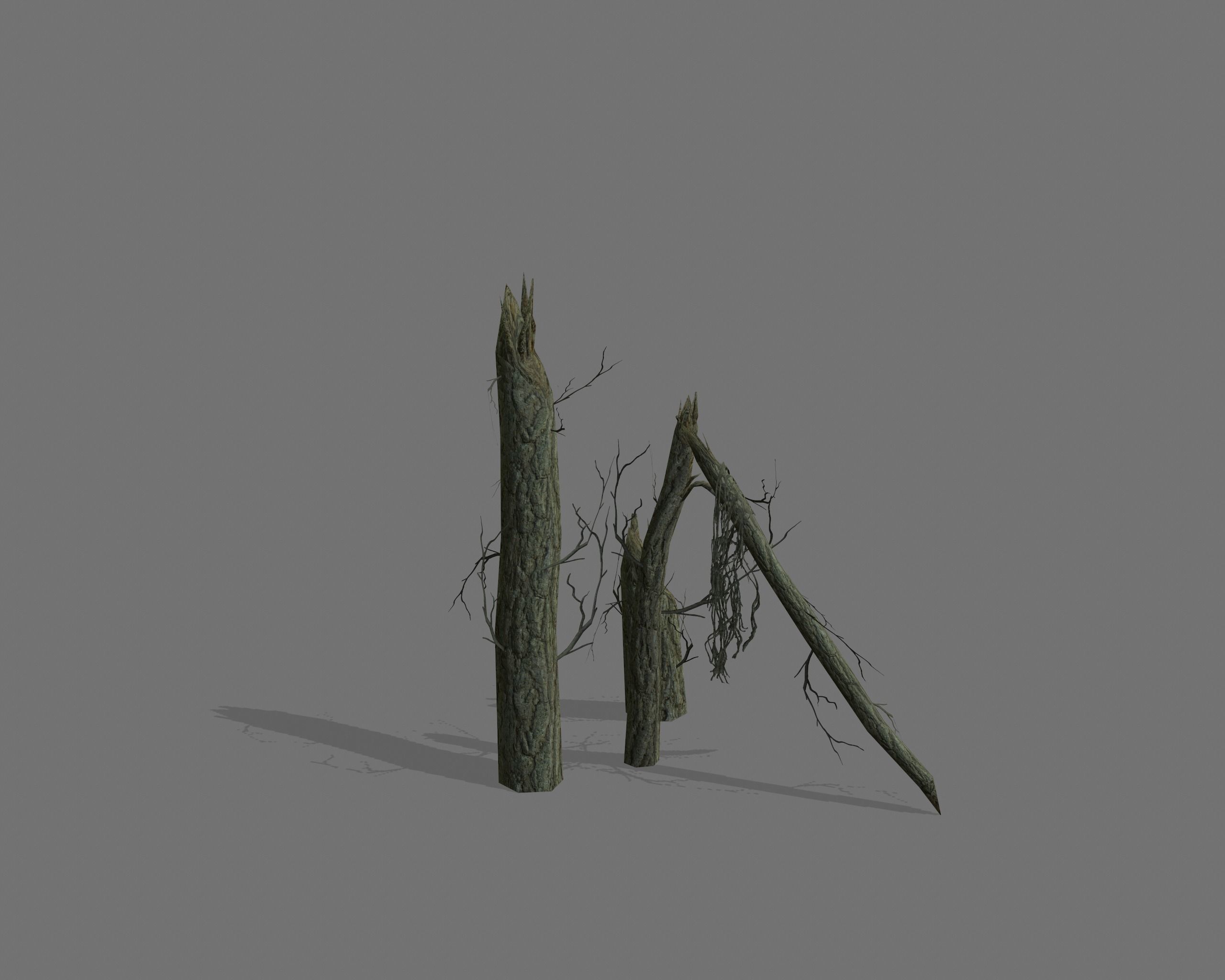 3D model Nature Assets - Swamp Trees VR / AR / low-poly | CGTrader