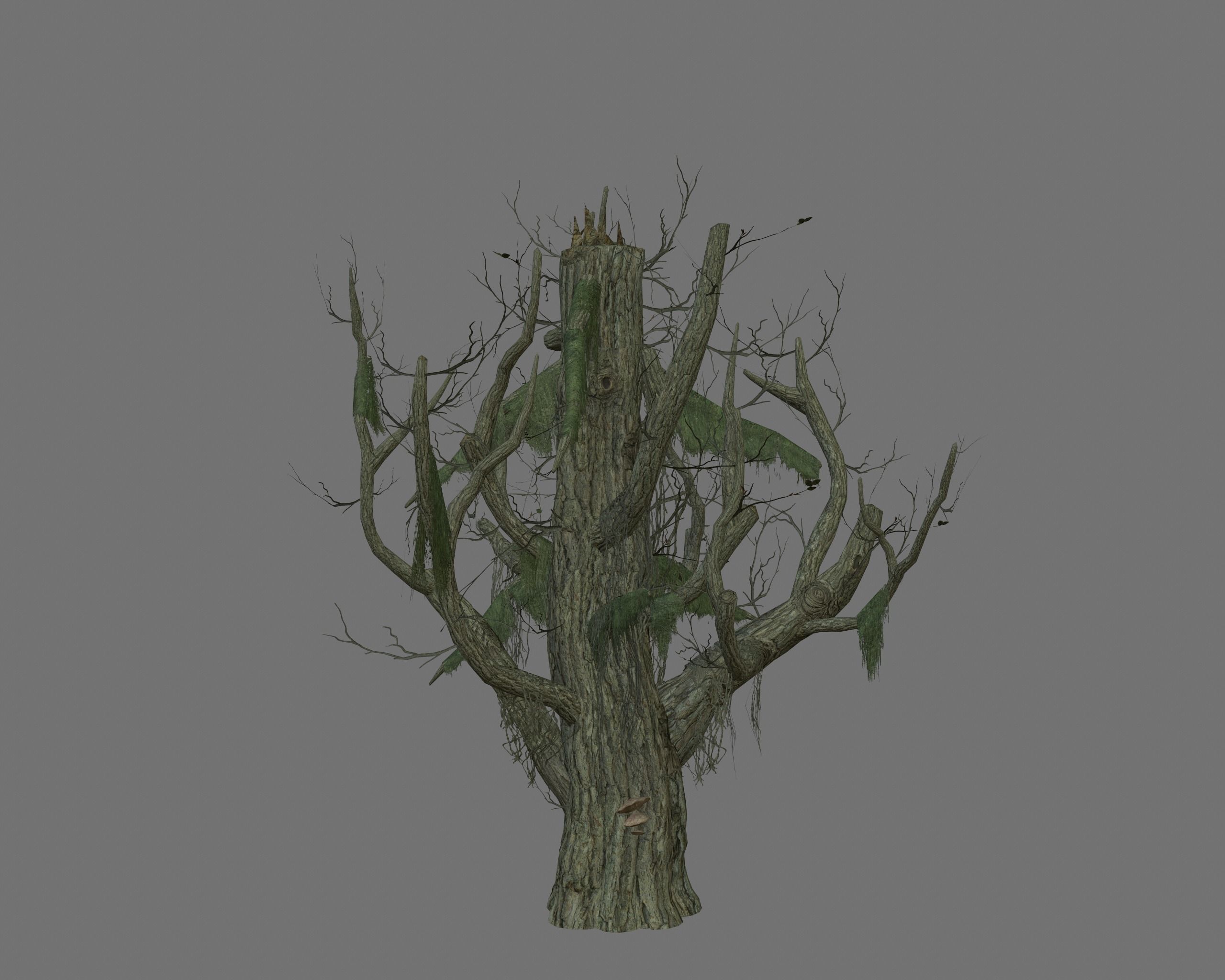 3D model Nature Assets - Swamp Trees VR / AR / low-poly | CGTrader