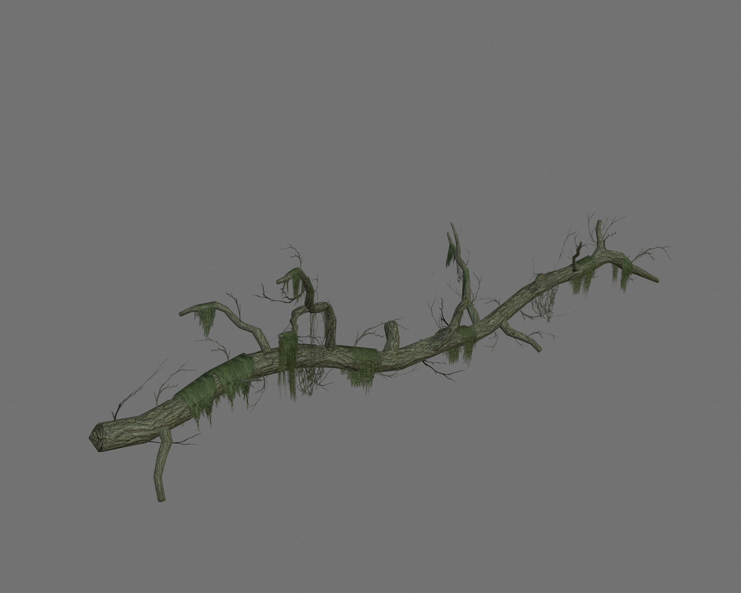 3D model Nature Assets - Swamp Trees VR / AR / low-poly | CGTrader