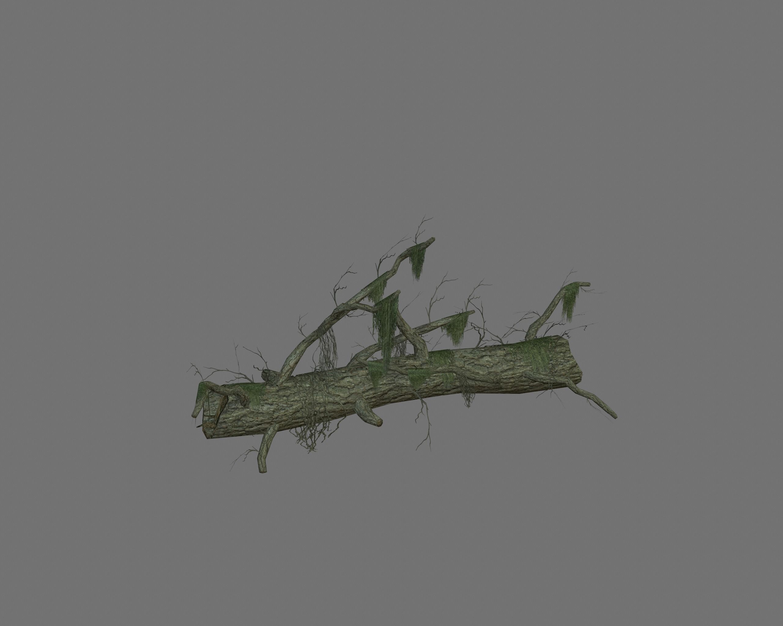 3D model Nature Assets - Swamp Trees VR / AR / low-poly | CGTrader