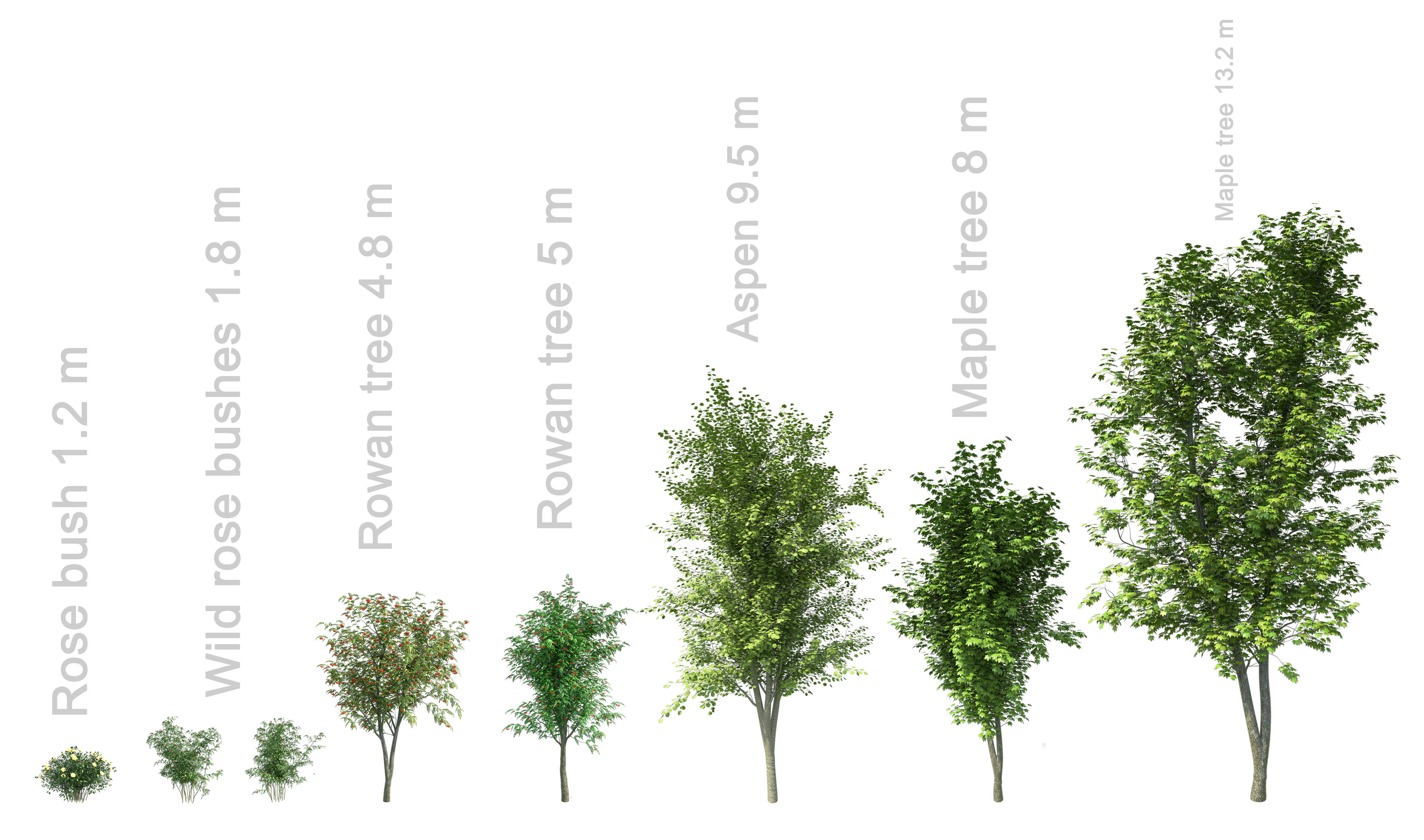 Trees set 7 trees 3D model | CGTrader