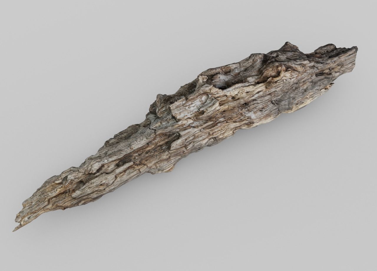 3D model SCANNED BROKEN LOG VR / AR / low-poly | CGTrader