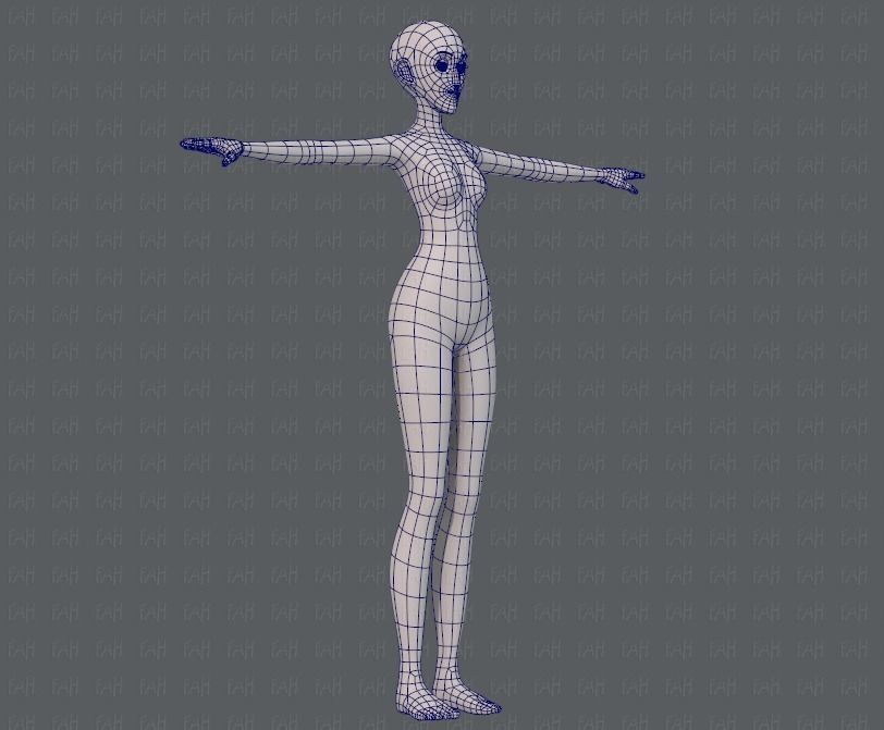3D model Base mesh woman 13 VR / AR / low-poly | CGTrader