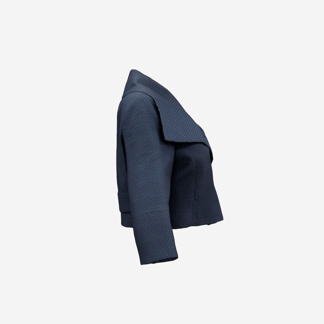 Mini Stylish Jacket Top 3D model | CGTrader