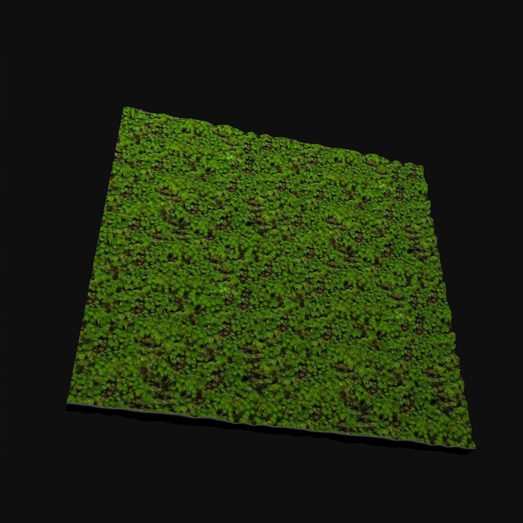 Texture Simple Seamless Moss Texture VR / AR / low-poly | CGTrader