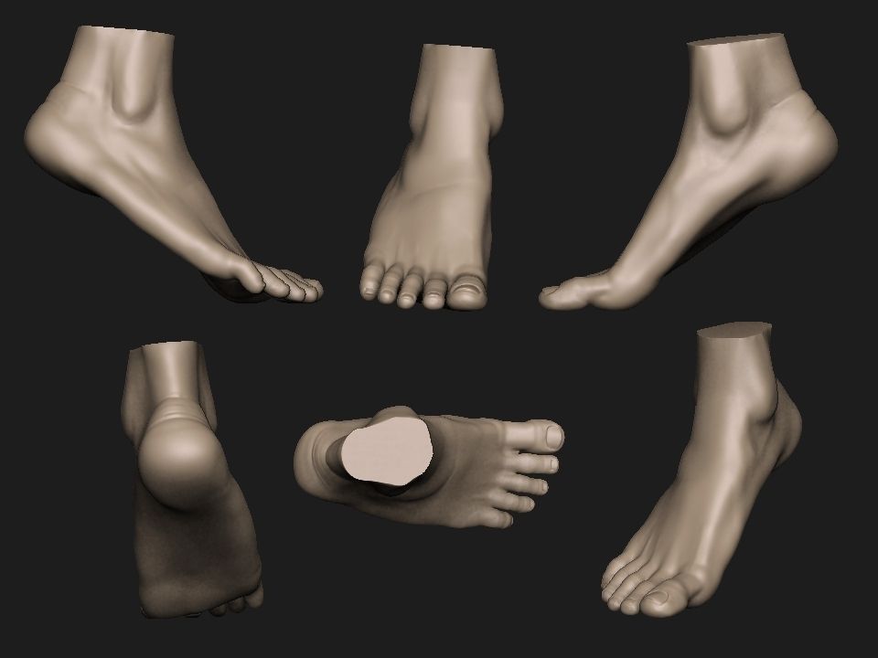 Foot reference 2 part 1 3D Model 3D printable .stl - CGTrader.com