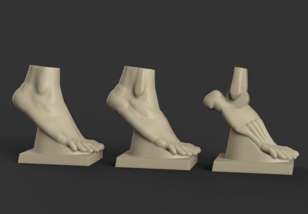 Foot reference 2 part 1 3D Model 3D printable .stl - CGTrader.com