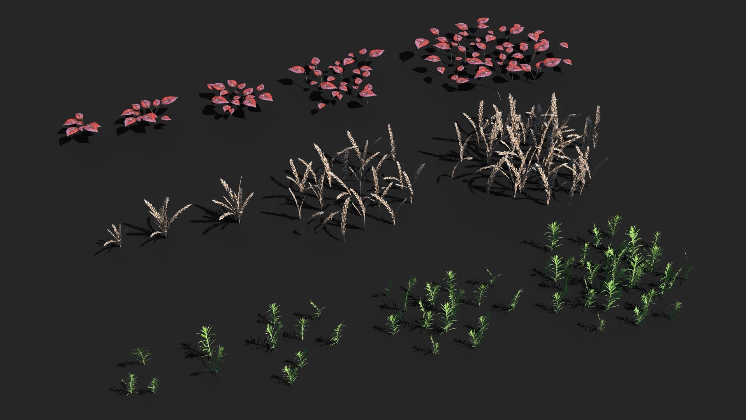 3D model Colorized Vegetation VR / AR / low-poly | CGTrader