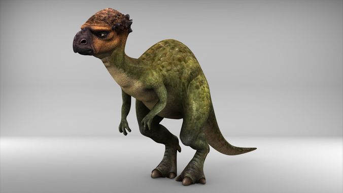 Pachycephalosaurus 3D asset | CGTrader