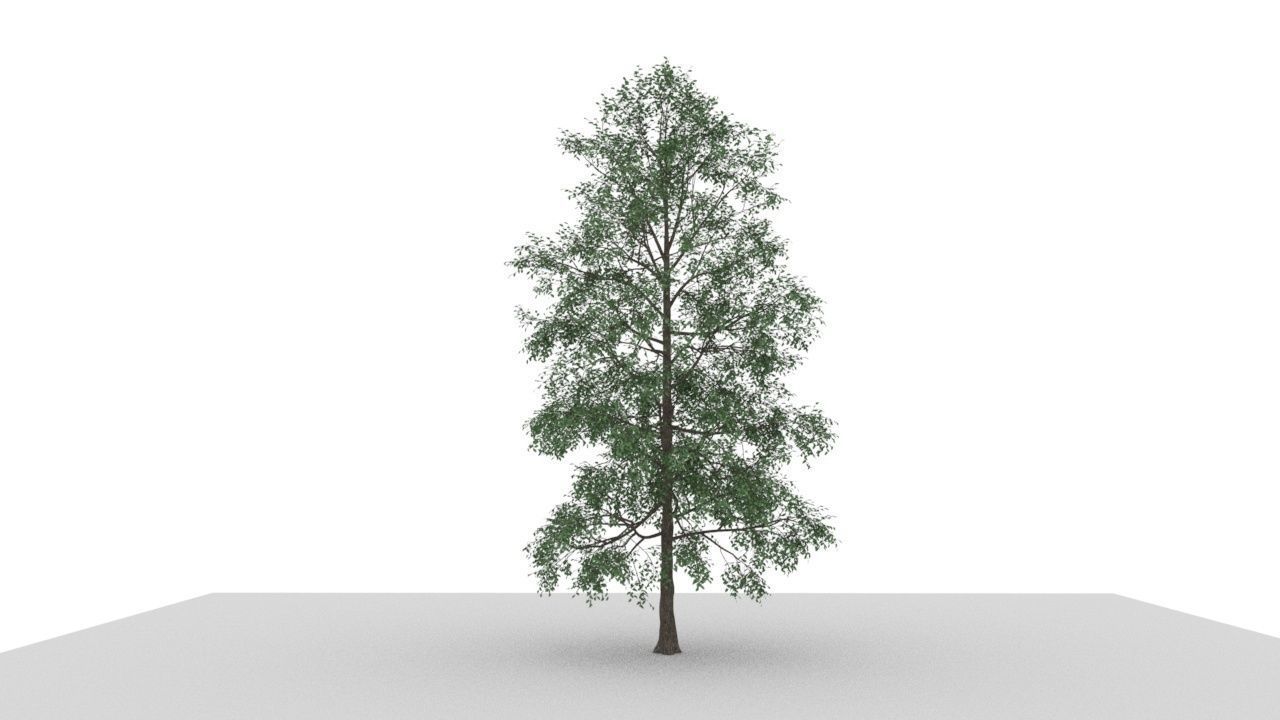 Ultra Realistic Trees 3D model | CGTrader