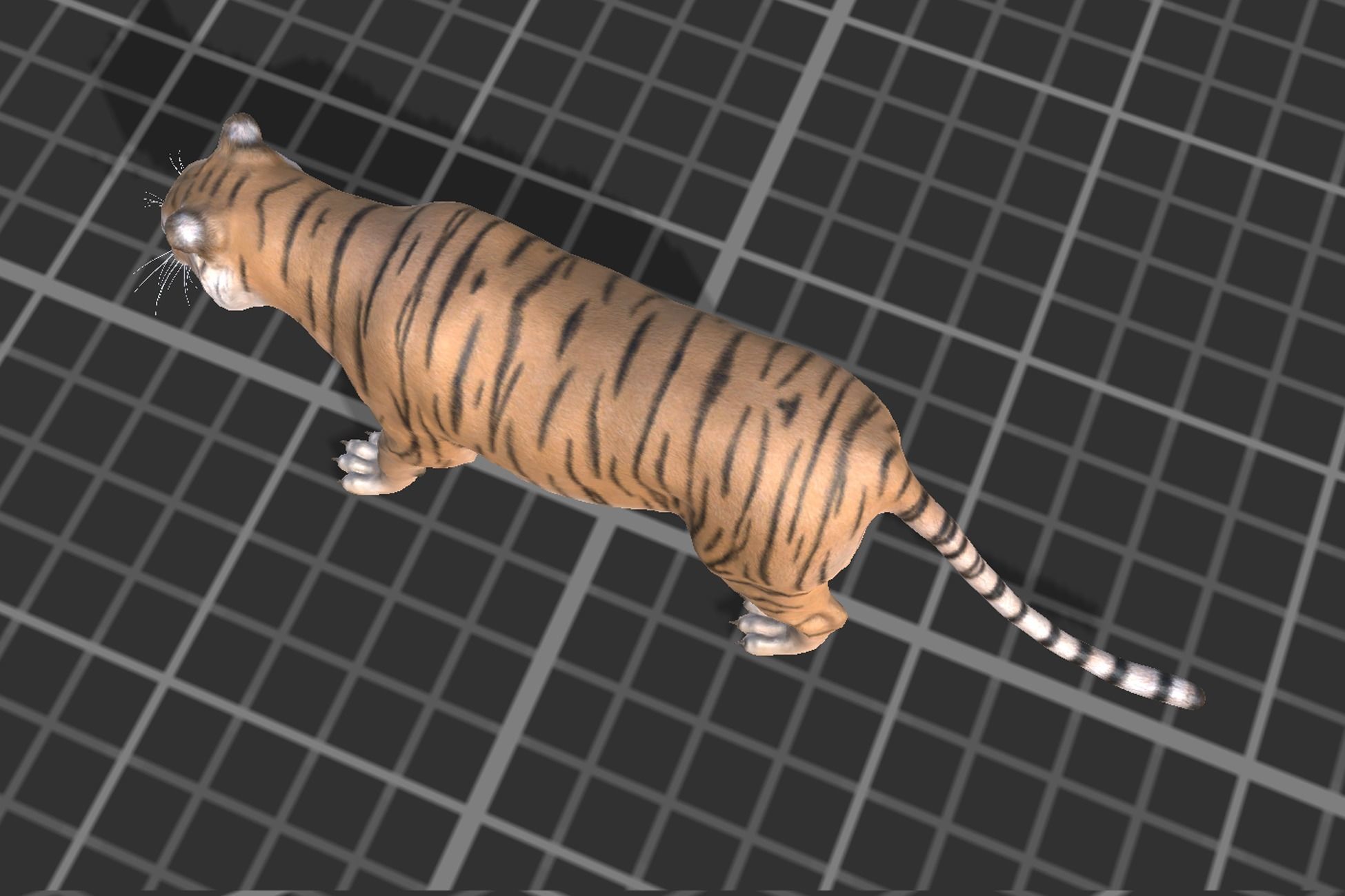3D model Tiger VR / AR / low-poly rigged animated | CGTrader