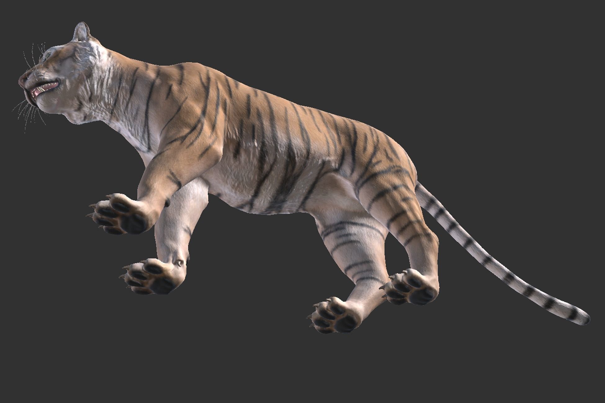 3D model Tiger VR / AR / low-poly rigged animated | CGTrader