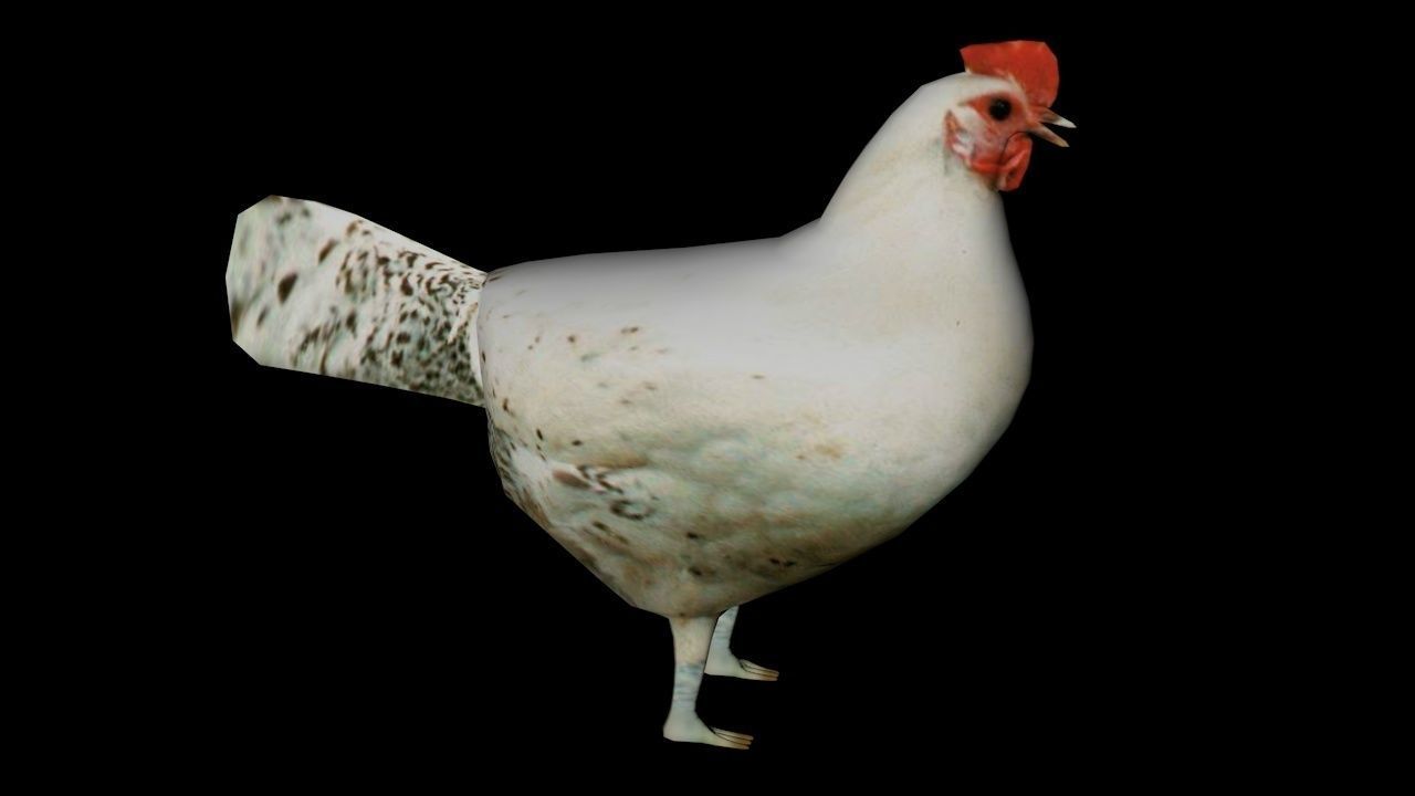 3D model Riggind Chicken VR / AR / low-poly | CGTrader