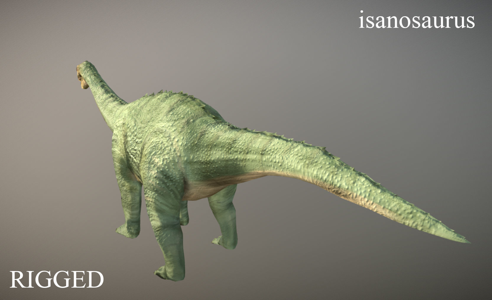 3D model Thai Dinosaur isanosaurus VR / AR / low-poly rigged | CGTrader