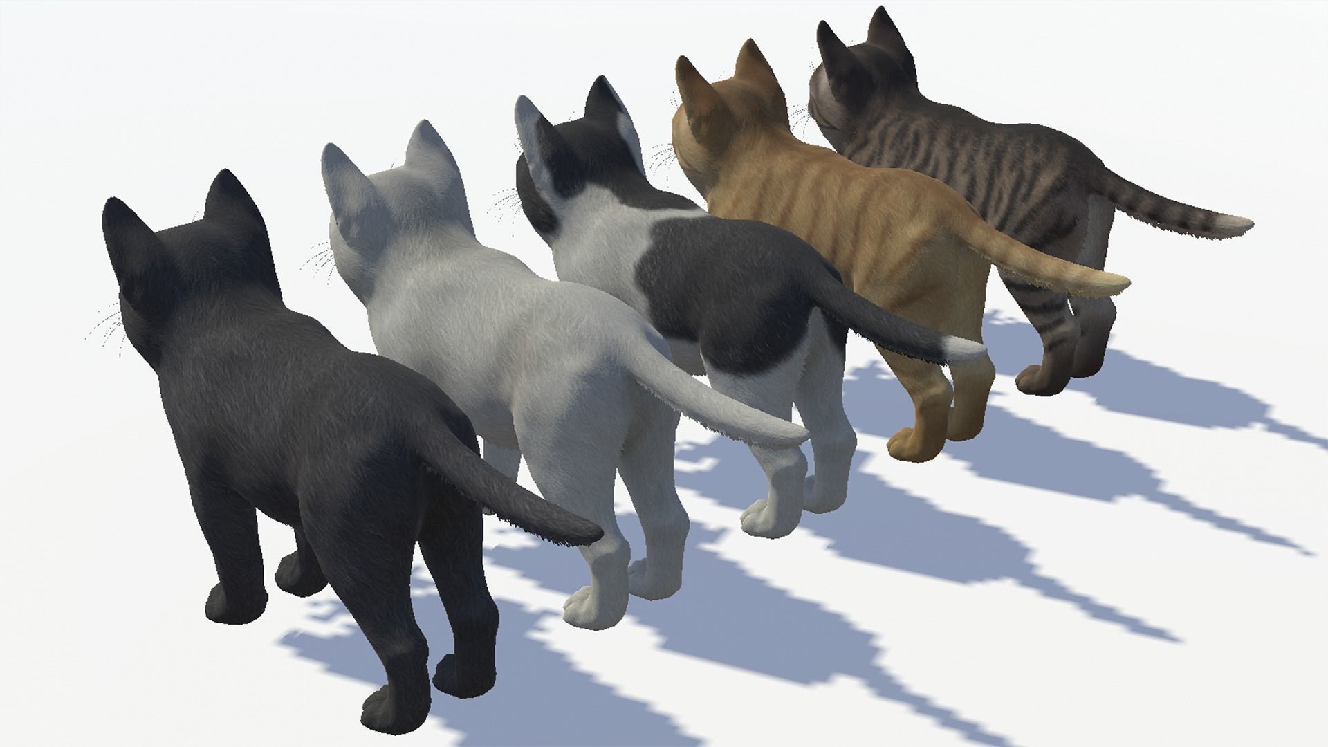 3D model Cats Family VR / AR / low-poly rigged animated | CGTrader