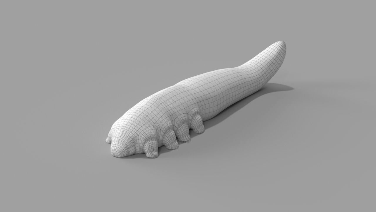 demodex bug maggot rig 3D model rigged | CGTrader