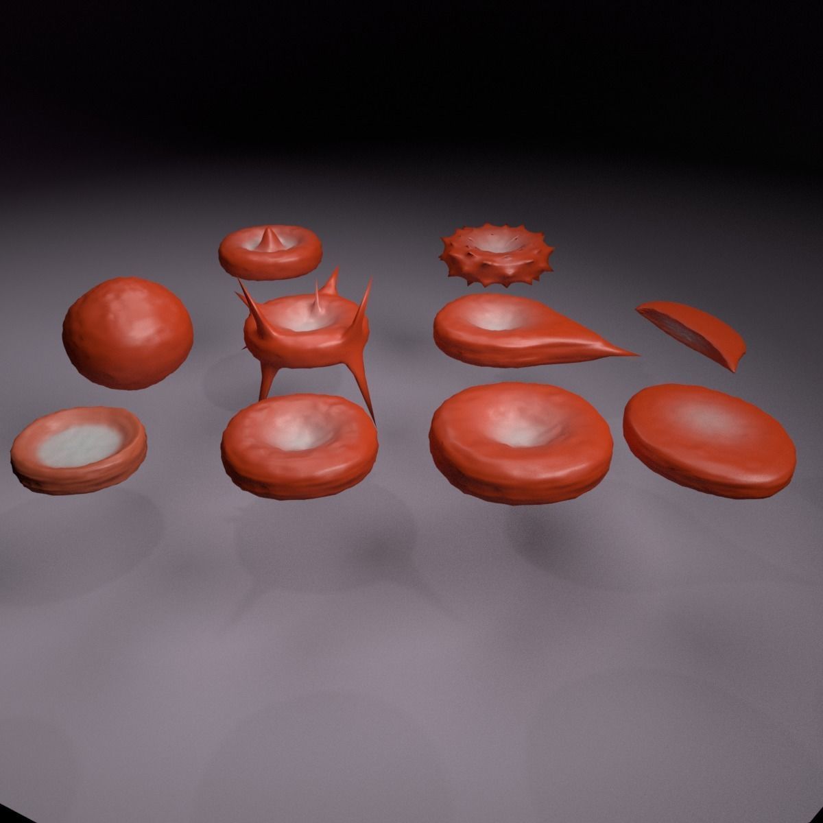RBC types 3D model | CGTrader
