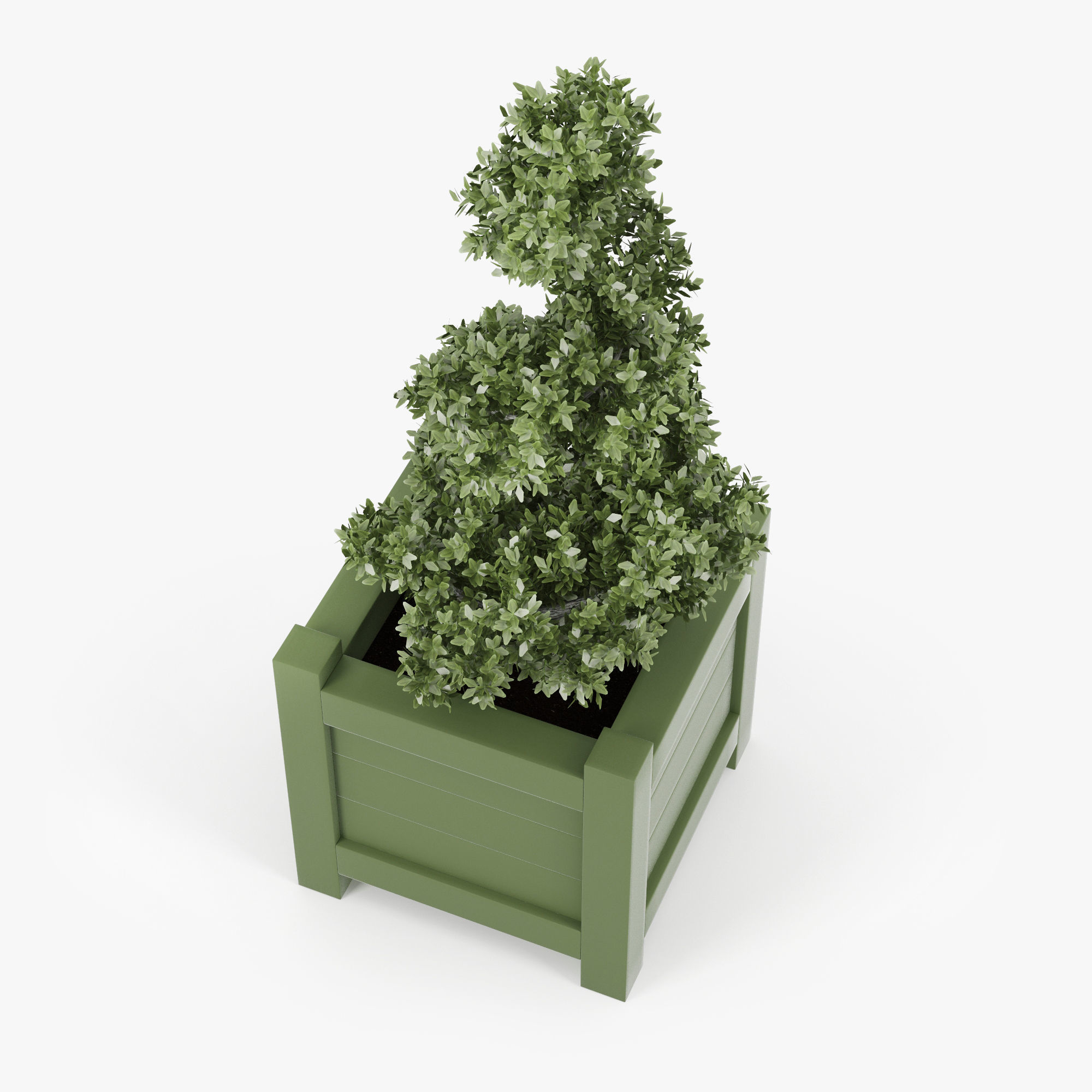 Buxus green pot 3D model | CGTrader