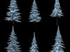 Snow-covered trees 3D model | CGTrader