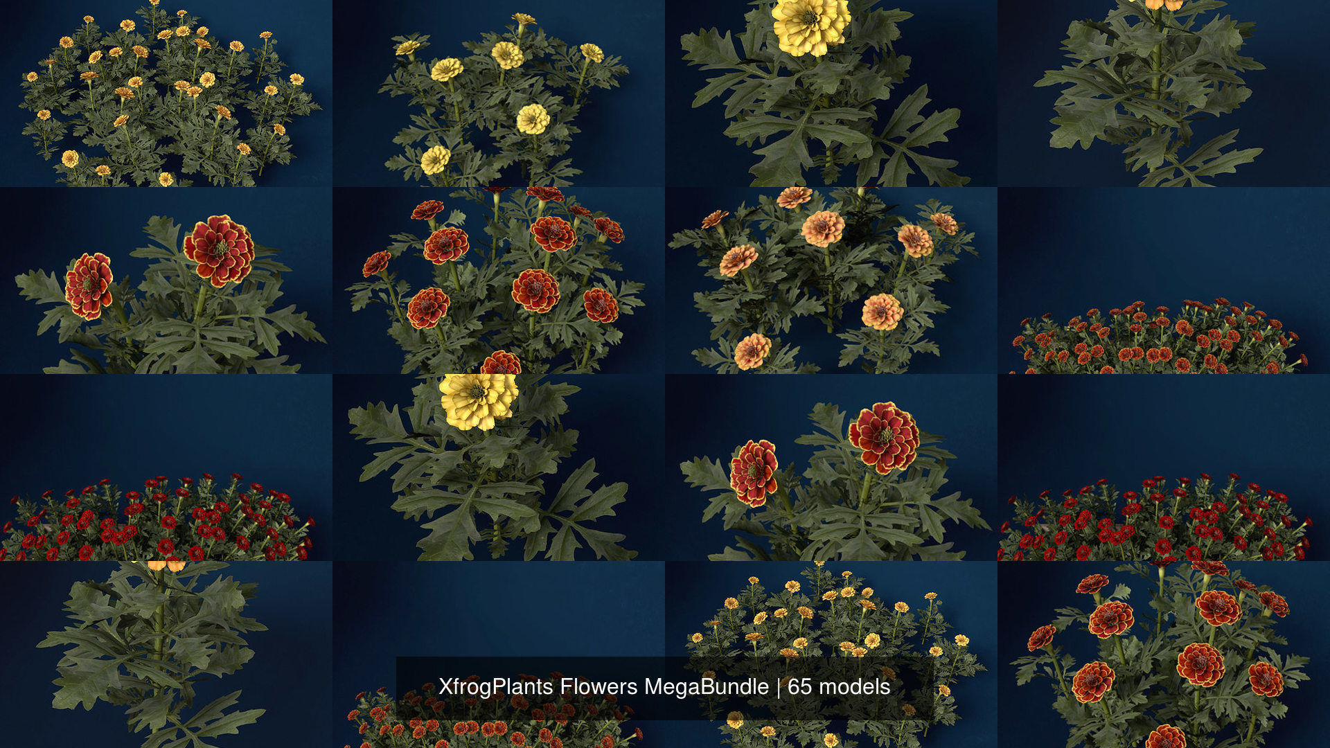 XfrogPlants Flowers MegaBundle 3D Model Collection | CGTrader