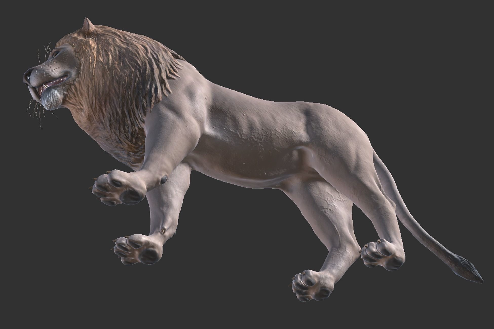 3D model African Lion VR / AR / low-poly rigged animated | CGTrader