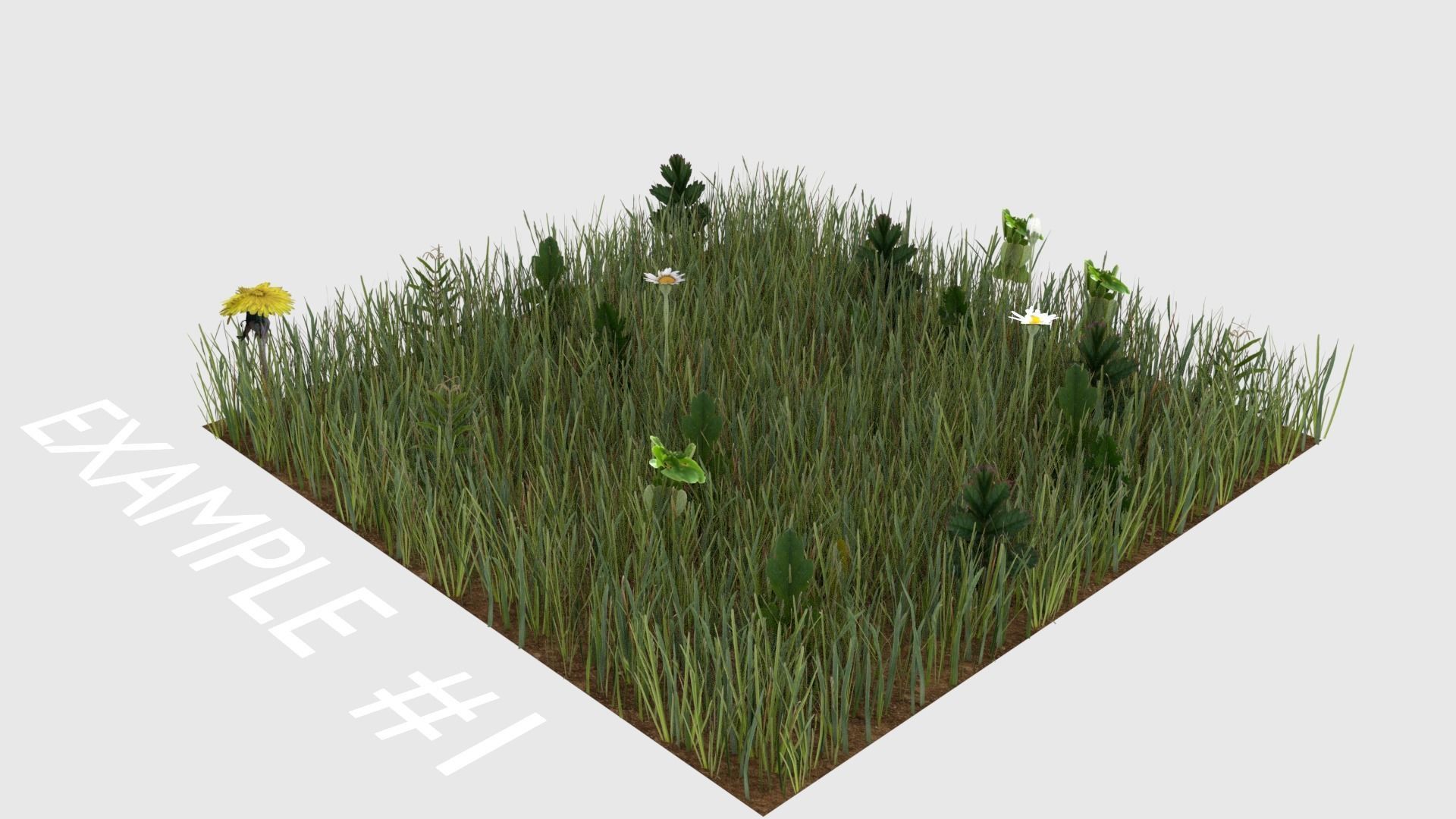 Blender Grass Asset Pack free 3D model | CGTrader