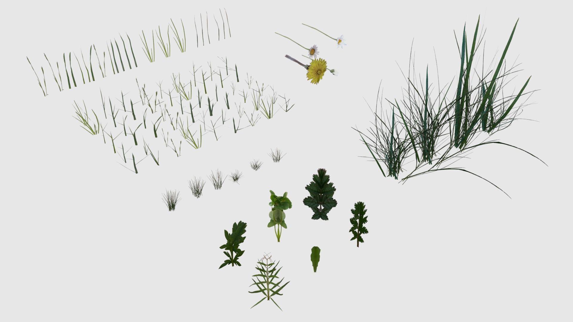 Blender Grass Asset Pack free 3D model | CGTrader