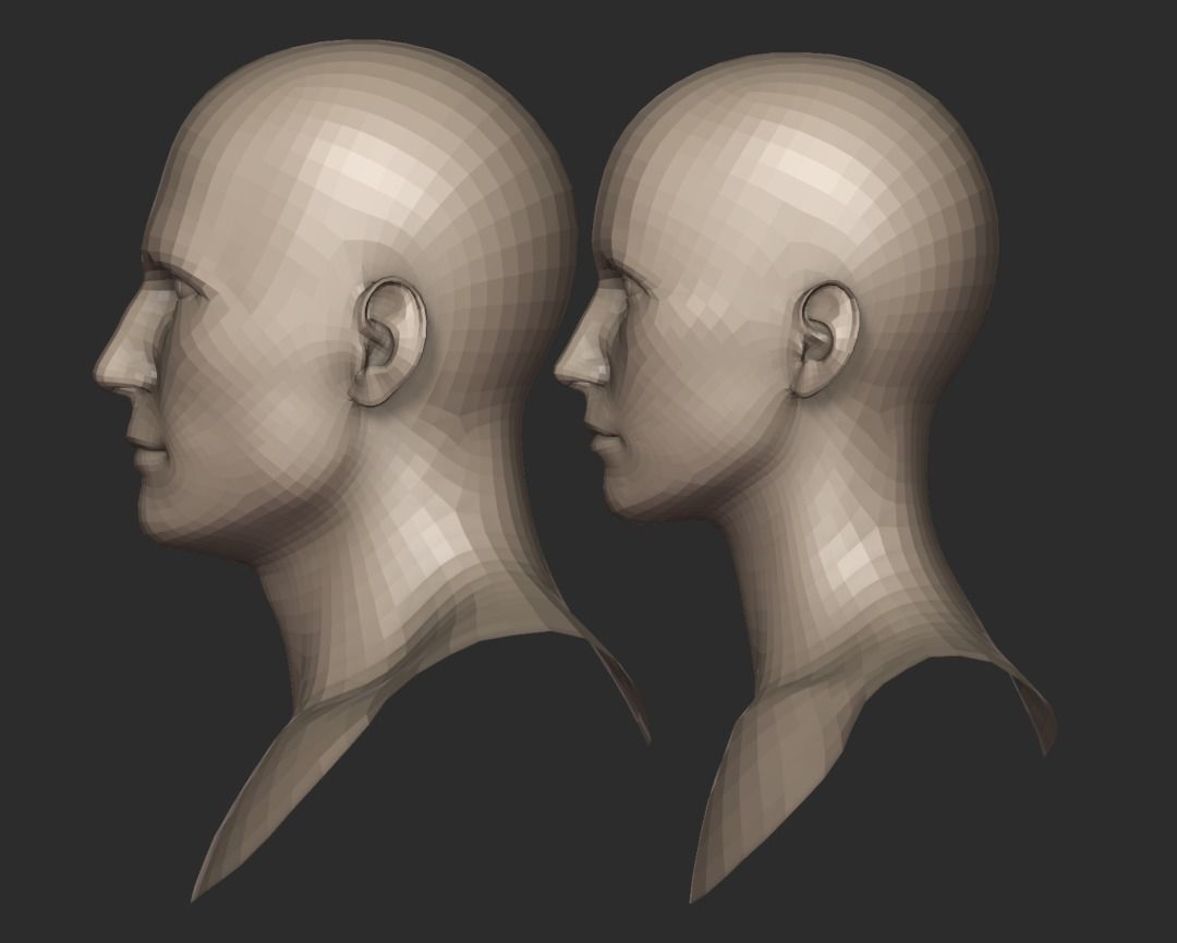 Base Head Meshes for Blender free 3D model | CGTrader