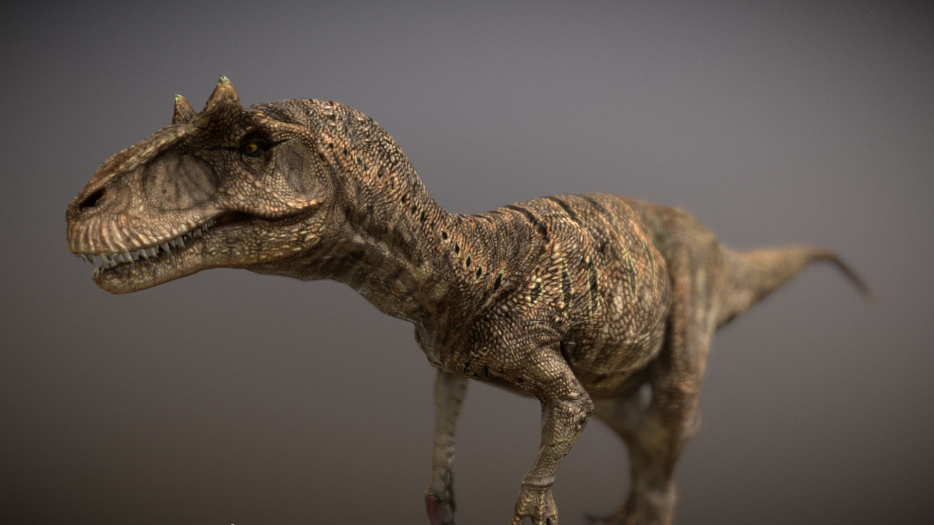 3D model Dinosaur Allosaurus Fragilis VR / AR / low-poly rigged ...