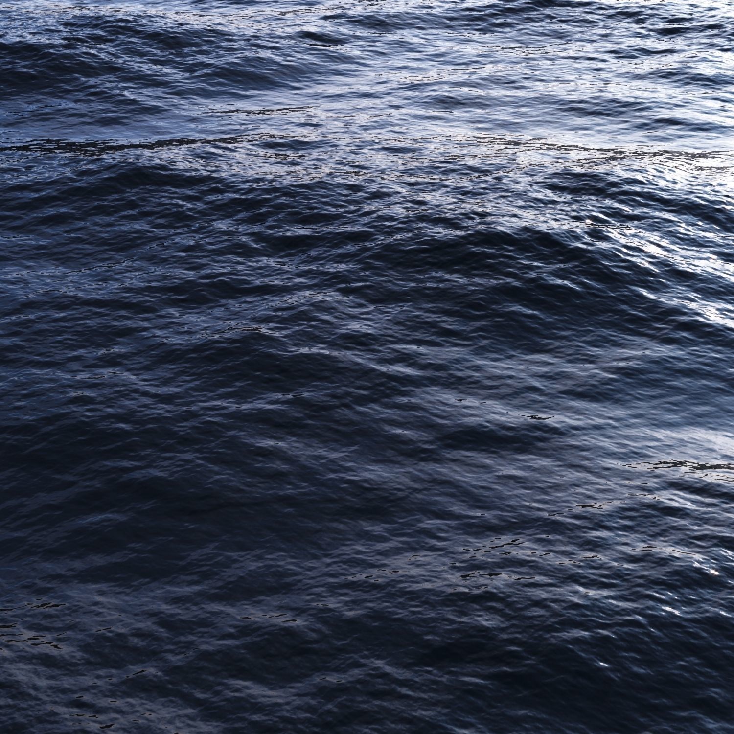 Ocean Displacement Map 3 Texture | CGTrader