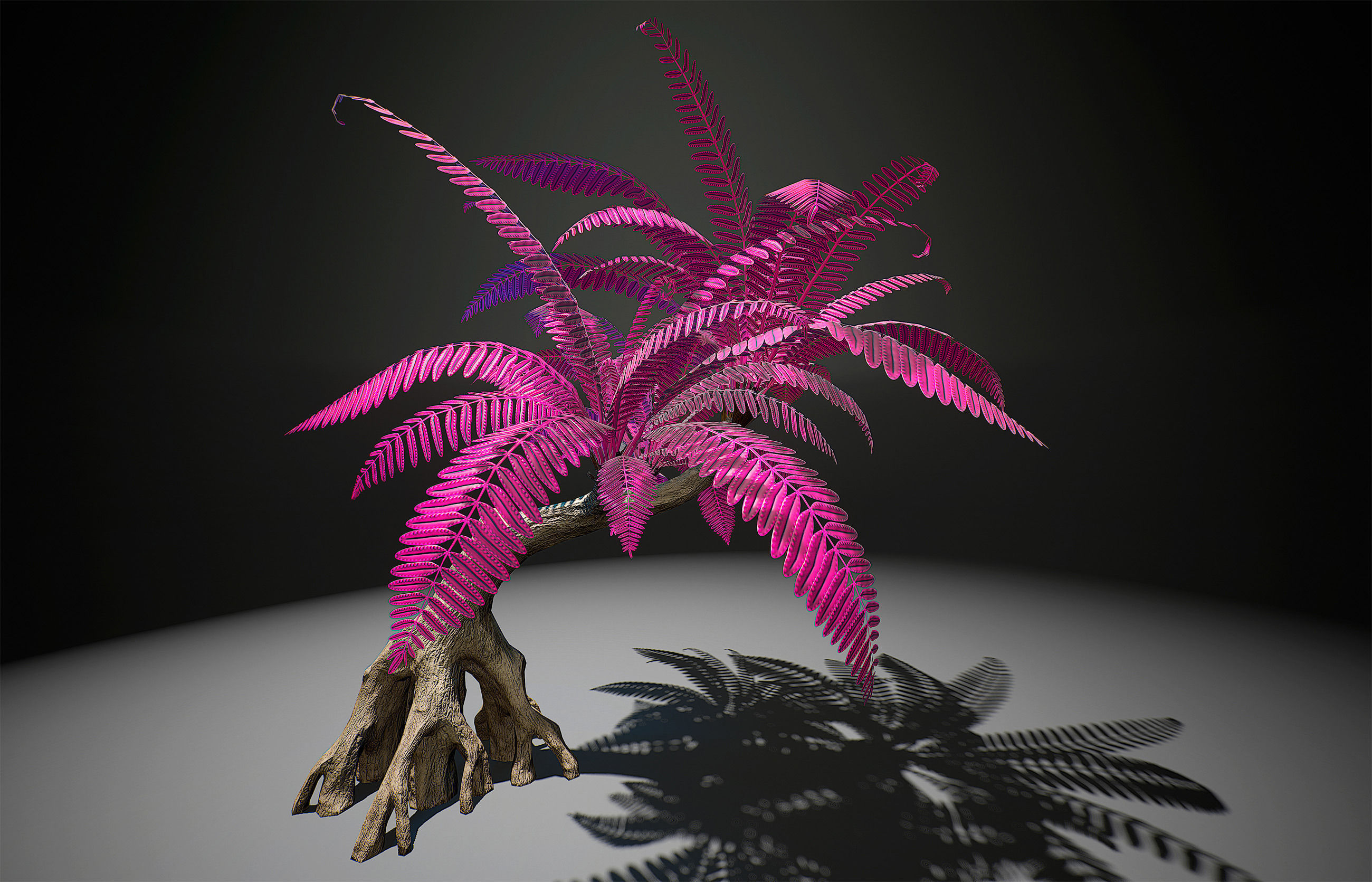 3D model Alien Plant Fern Type 2 VR / AR / low-poly | CGTrader