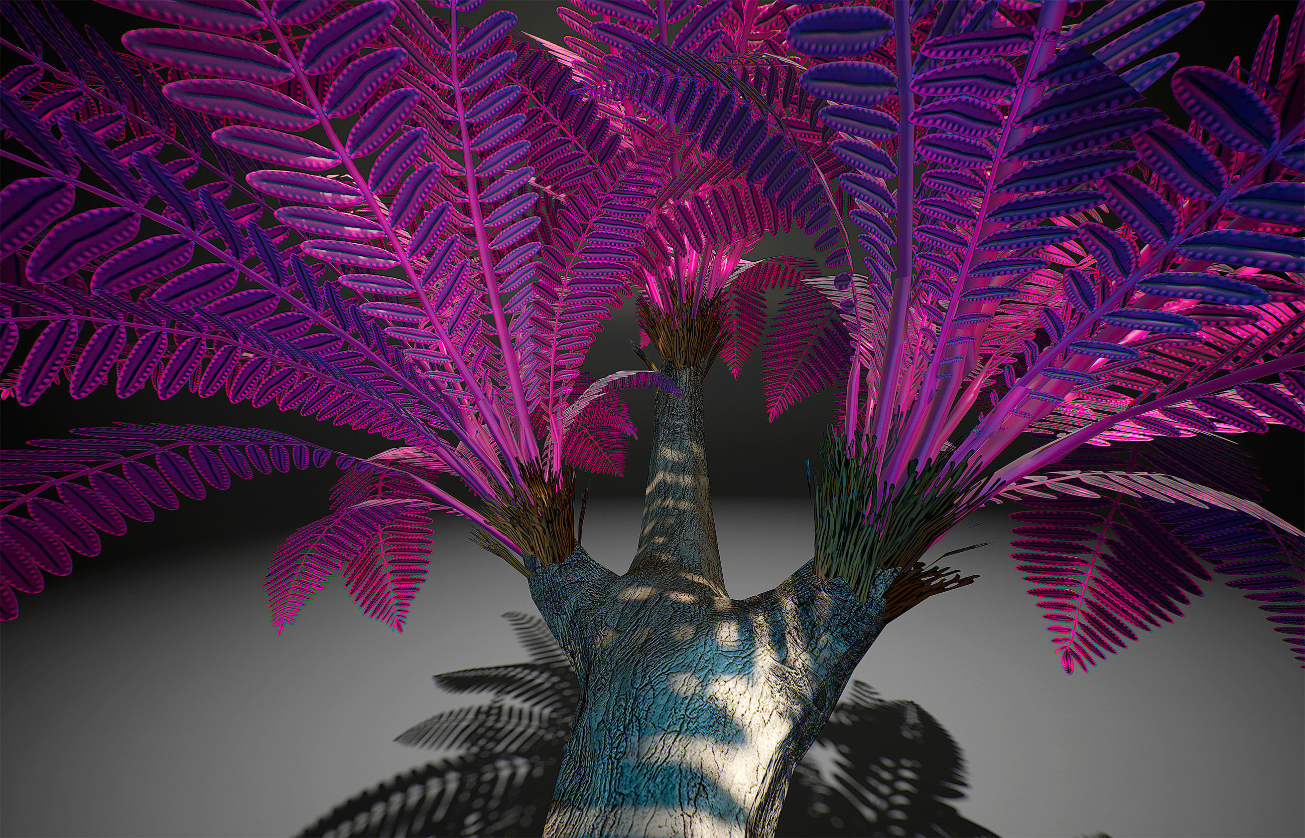 3D model Alien Plant Fern Type 2 VR / AR / low-poly | CGTrader