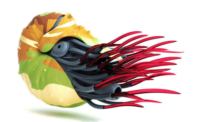 Nautilus 3D Model 3D printable .obj .3ds .stl .mtl - CGTrader.com