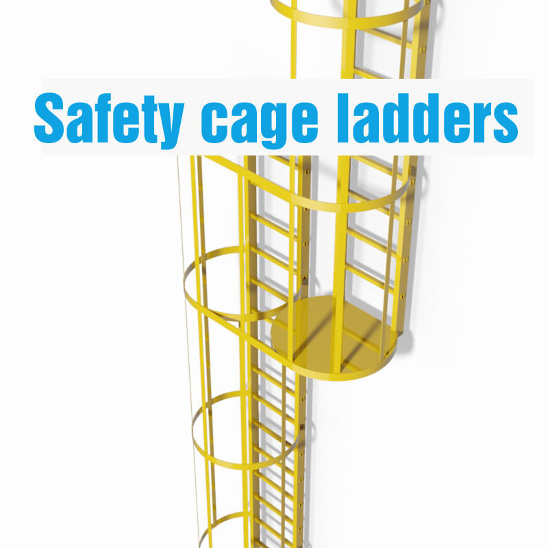 Double safety cage ladder 3D Model IPT | CGTrader.com