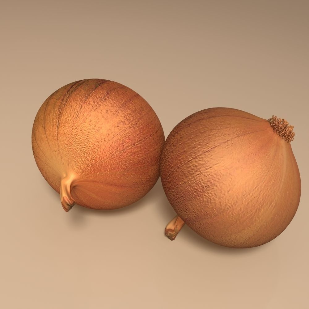 Onion two onions 3D model | CGTrader