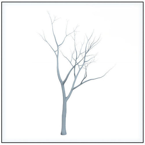 Common Tree STL Printable 3D Model 3D printable .obj .stl - CGTrader.com