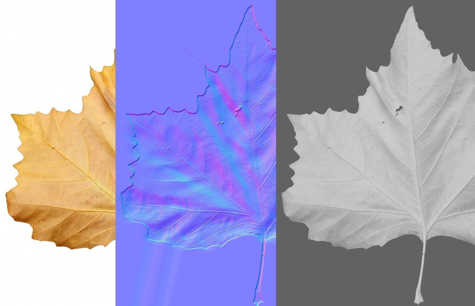 3D model Lowpoly Leaves Pack VR / AR / low-poly | CGTrader