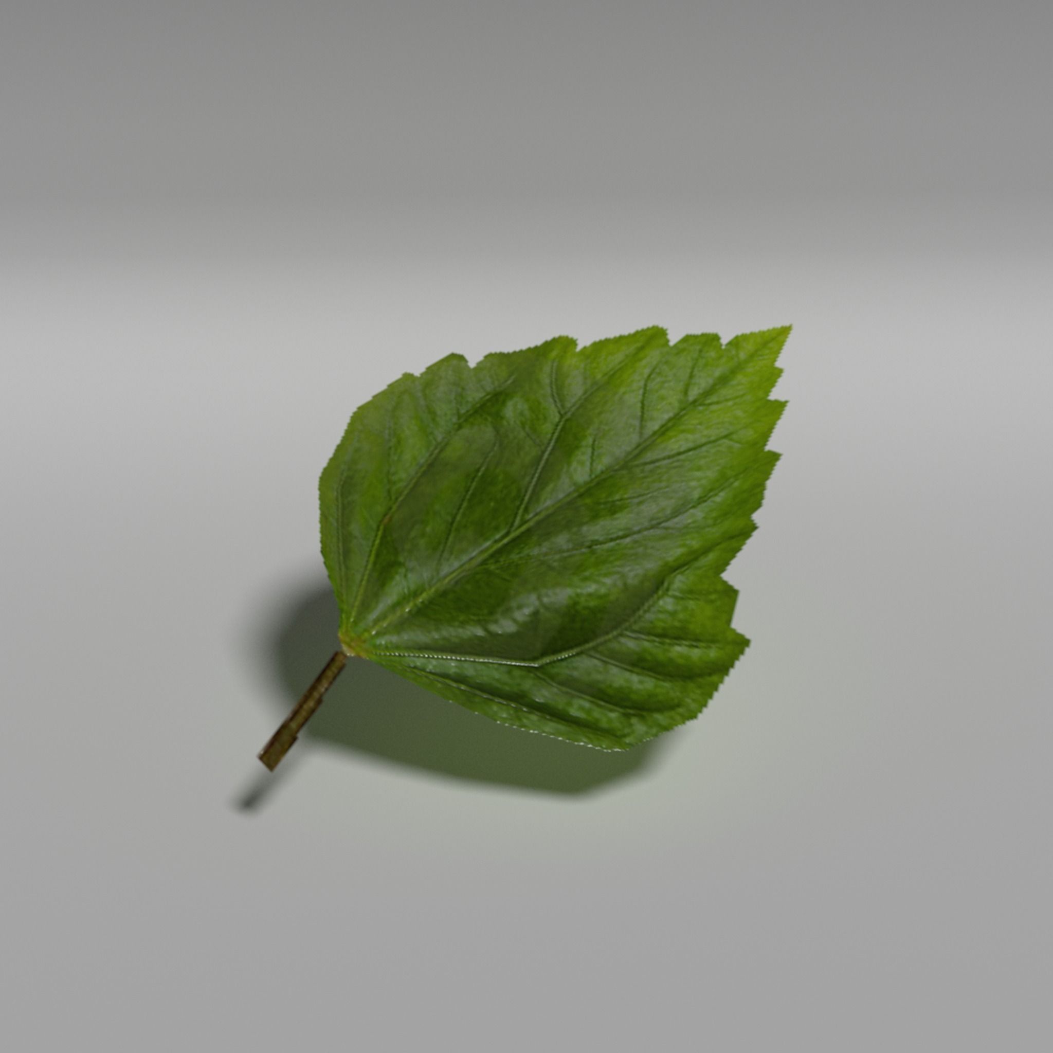 3D model Lowpoly Leaves Pack VR / AR / low-poly | CGTrader