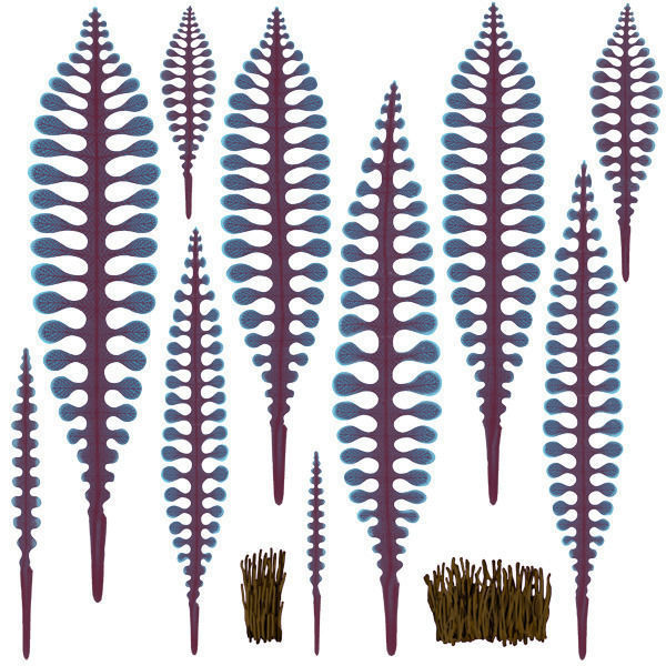 Alien Plant Leaves texture pack 1 Texture | CGTrader