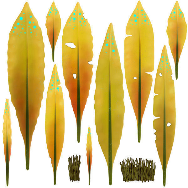 Alien Plant Leaves texture pack 1 Texture | CGTrader